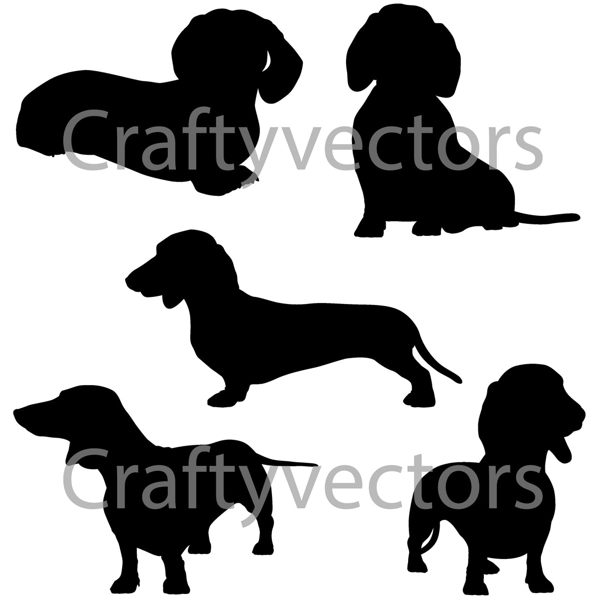 Dachshund Dog Vector – Crafty Vectors