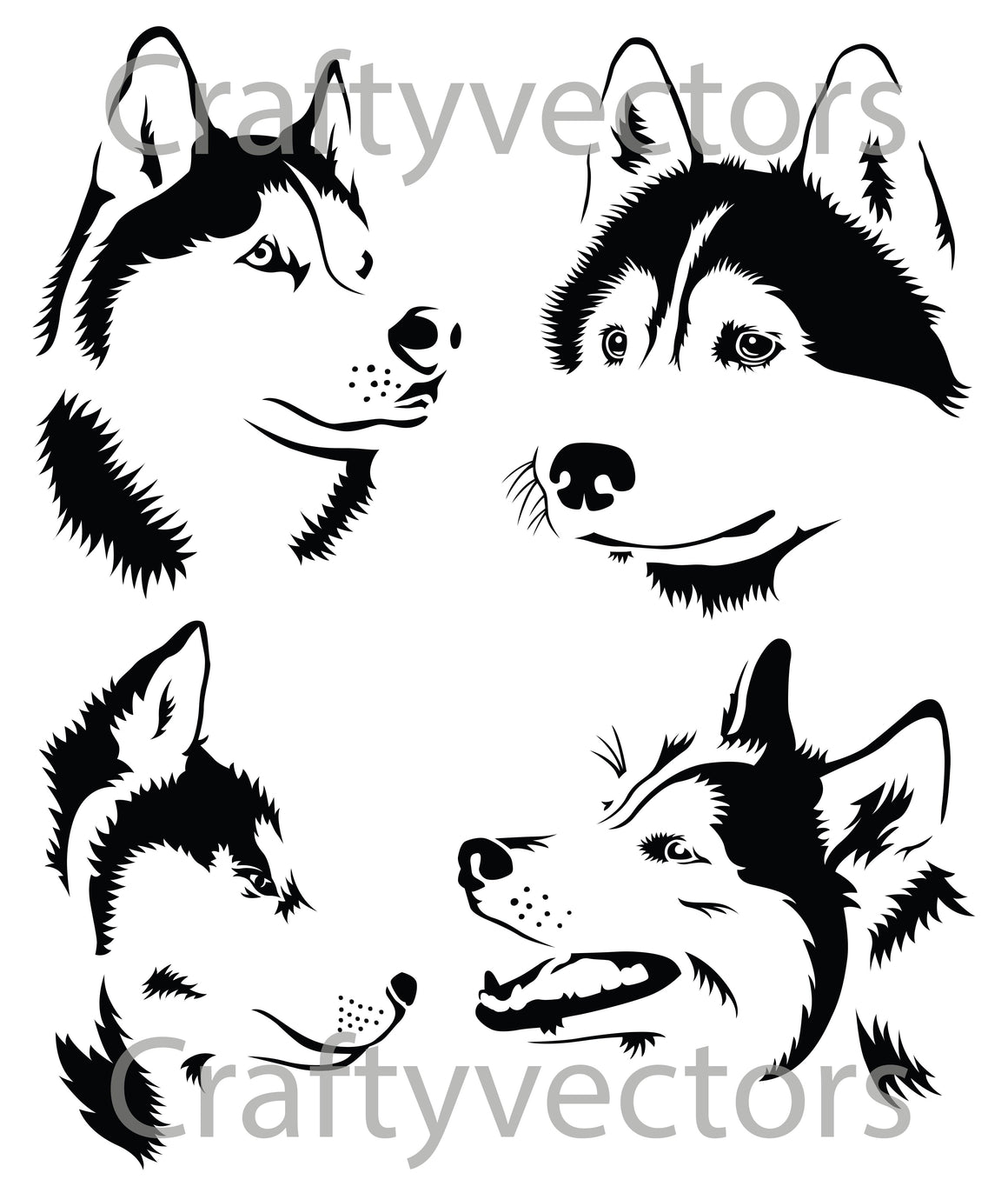 Husky Dog Vector – Crafty Vectors